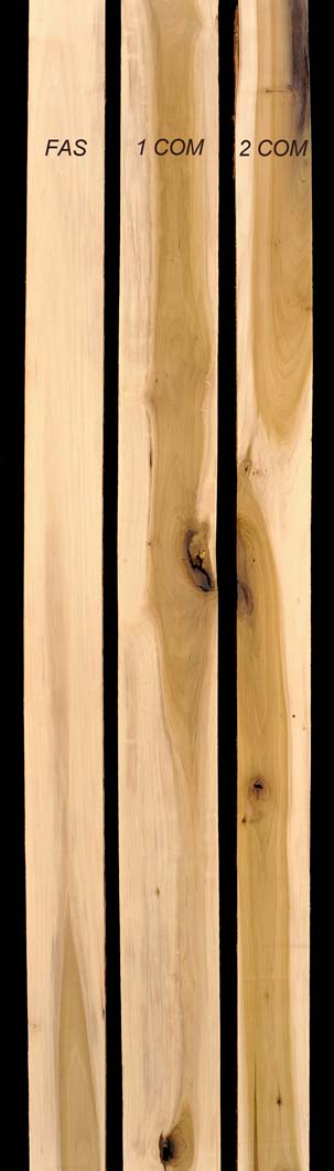 Poplar Side 1 - Poplar Lumber - Thompson Hardwoods, Inc